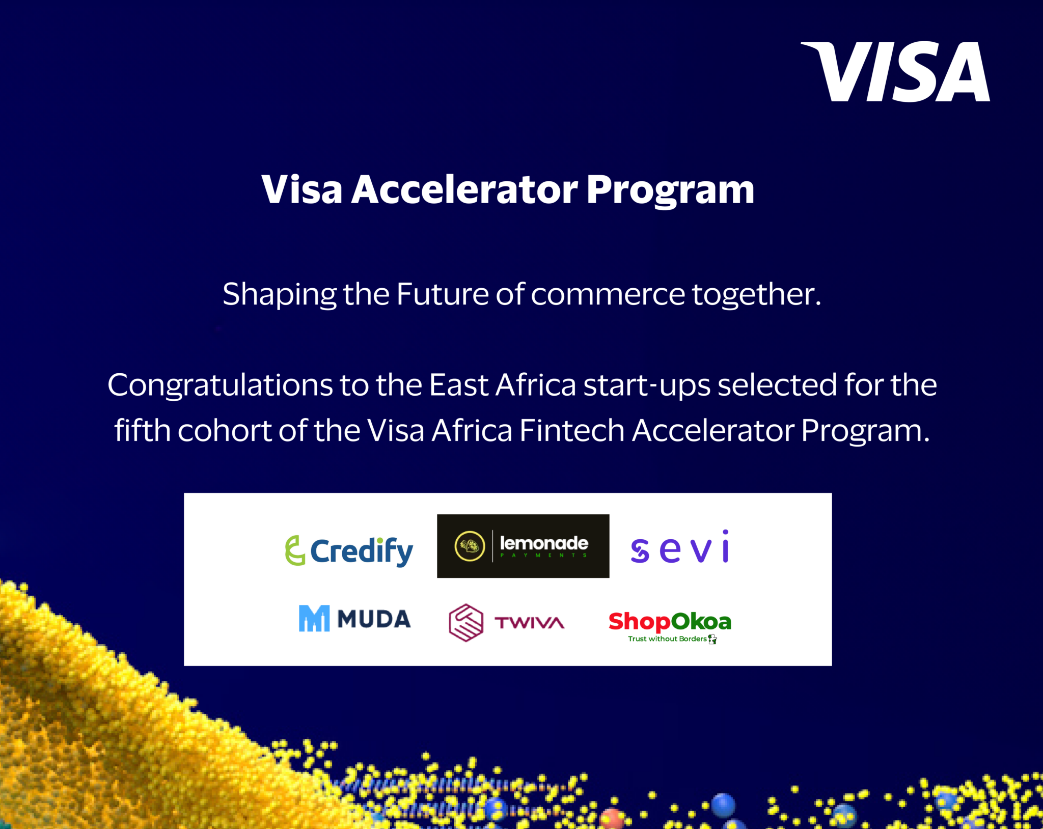 Visa Africa Fintech Accelerator Program Opens | CIO Africa